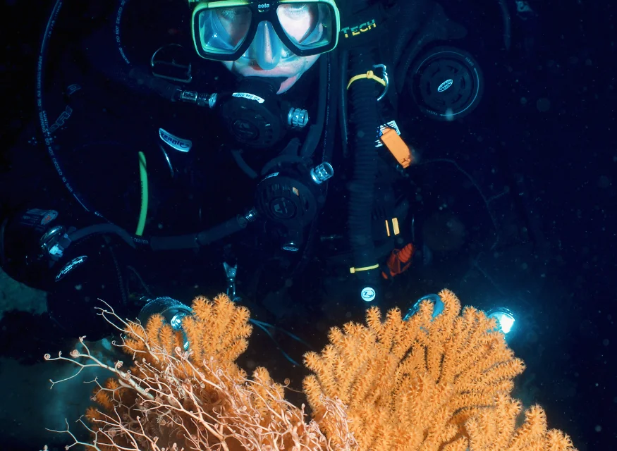 Diving Trondheim Fjord - Lophelia Pertusa Corals | Hindrum